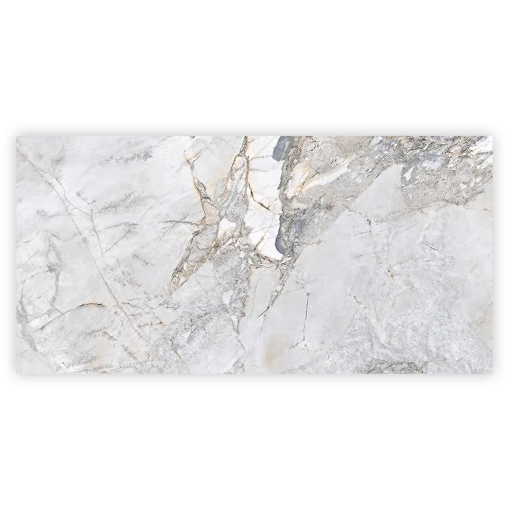 Pale Gray 24 x 48 Polished Porcelain Large Tile – Tiletopia