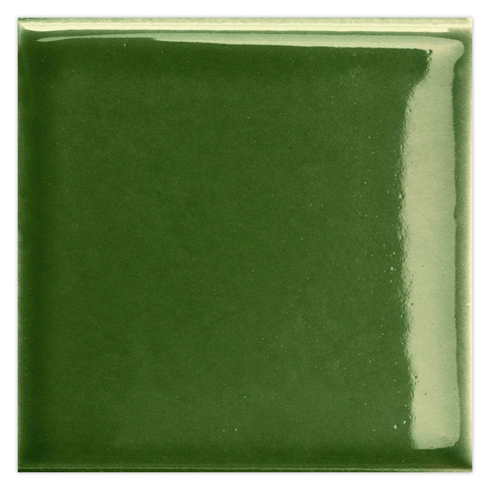 Deep Forest Green 2 x 16 Glossy Porcelain Tile – Tiletopia